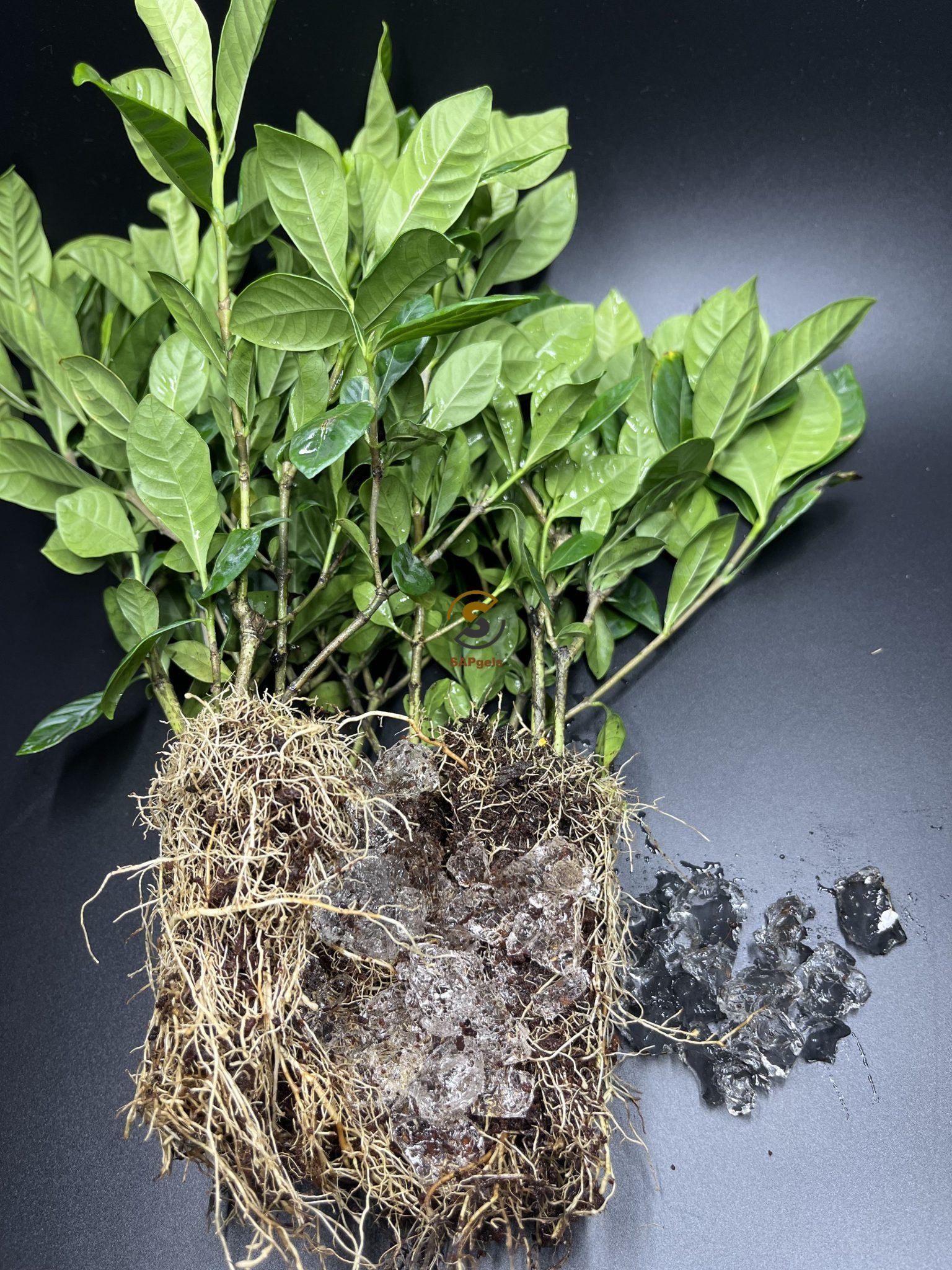 Top 5 Water Absorbing Materials: Absorb the Most Water